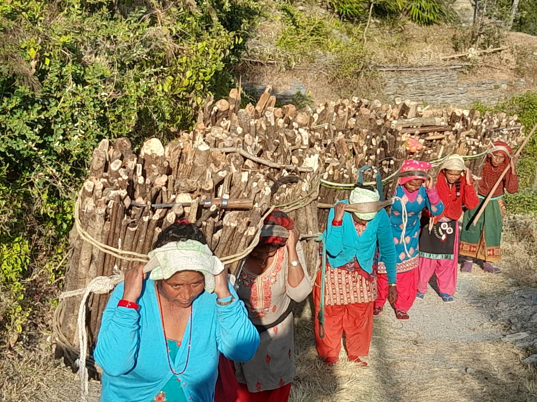 सामूहिक रुपमा दाउरा लिएर घरतर्फ आउँदै गरेका महिला « Koralapost